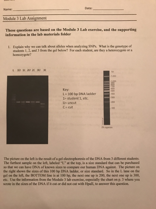 Solved Date: Name: Module 3 Lab Assignment These questions | Chegg.com