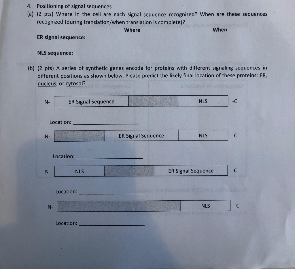Solved 4. Positioning of signal sequences (a) (2 pts) Where | Chegg.com