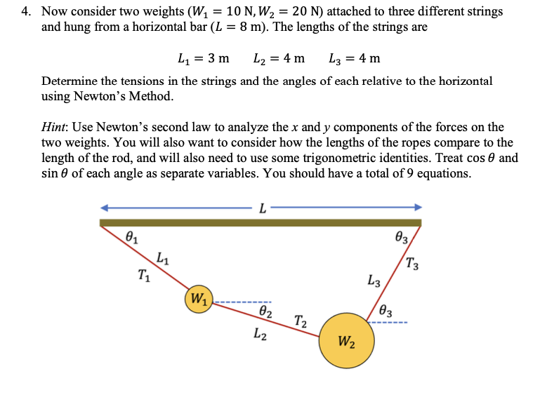 Solved Now consider two weights (W1=10 N,W2=20 N) attached | Chegg.com