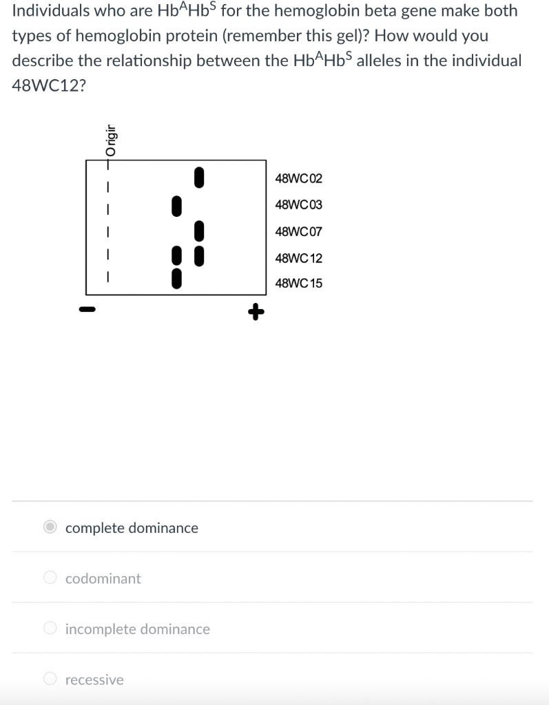 Individuals who are HbAHbS for the hemoglobin beta | Chegg.com