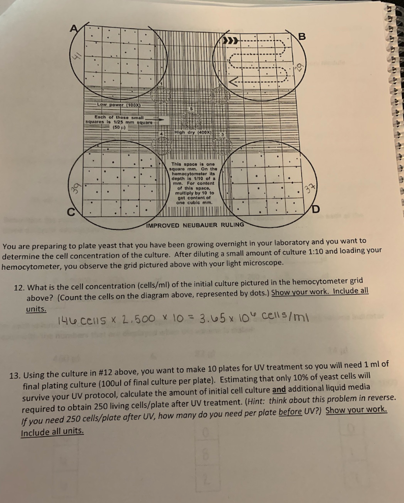 Solved B Low power (100%) Each of these small squares is | Chegg.com