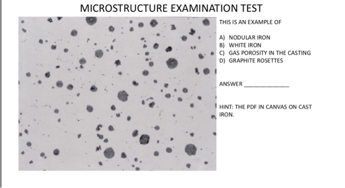 Solved MICROSTRUCTURE EXAMINATION TEST THIS IS AN EXAMPLE OF | Chegg.com