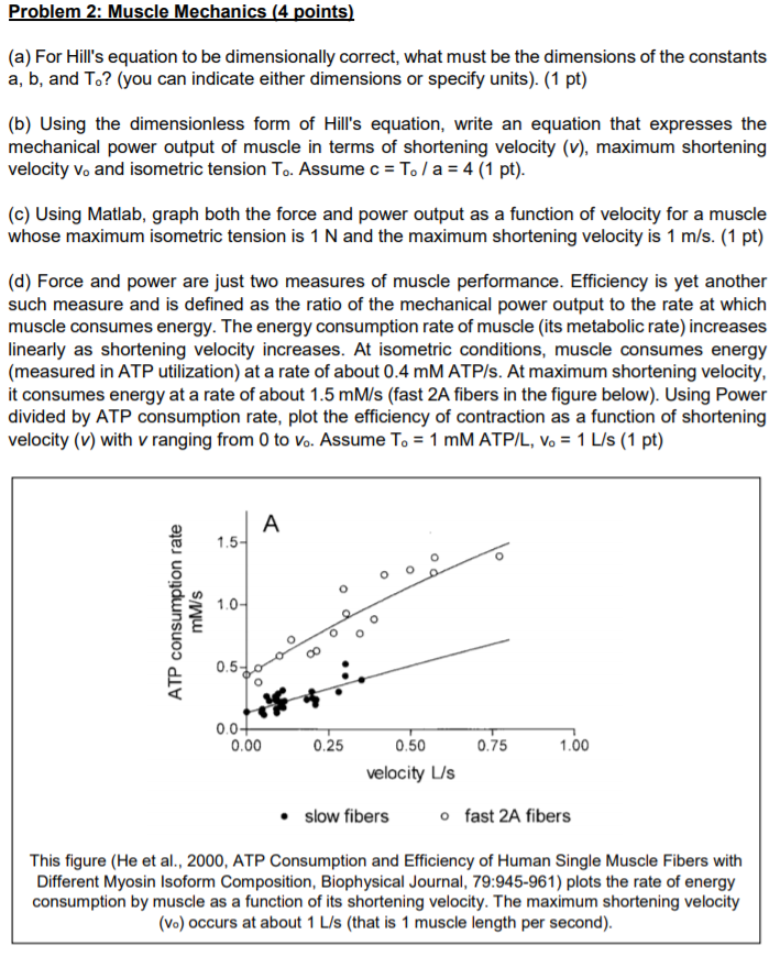 Solved Problem 2: Muscle Mechanics (4 points (a) For Hill's | Chegg.com