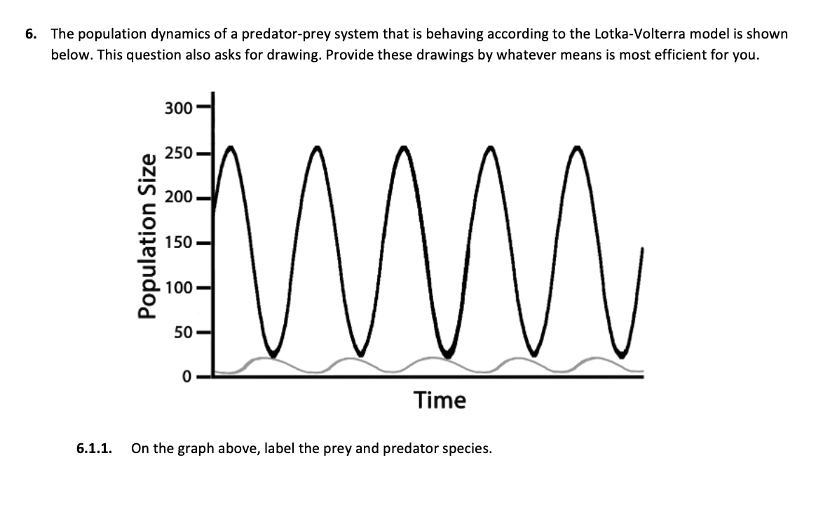 Solved 6. The population dynamics of a predator-prey system | Chegg.com