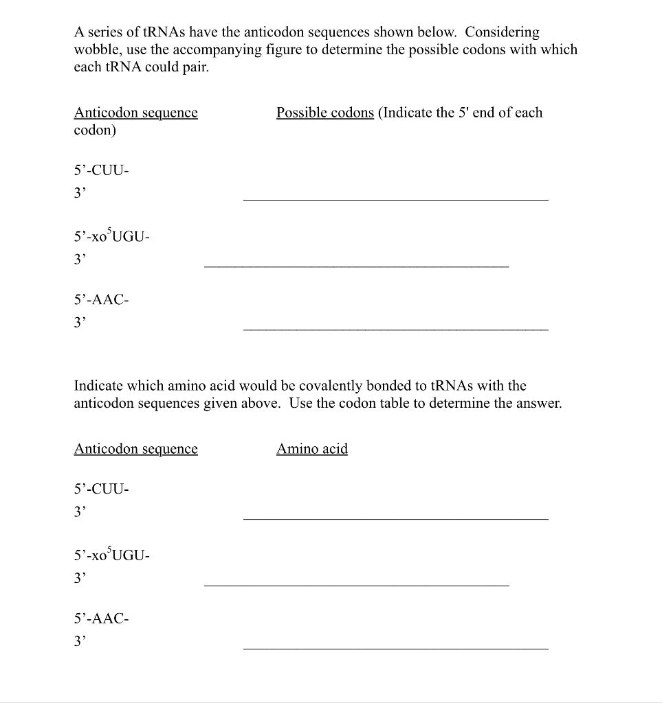 Solved A series of tRNAs have the anticodon sequences shown | Chegg.com