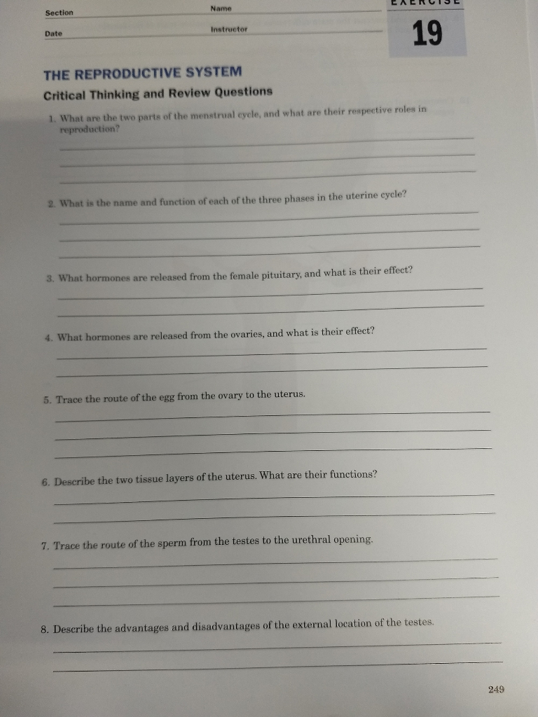 Solved Section Name LACNVIO Date Instructor 19 THE | Chegg.com