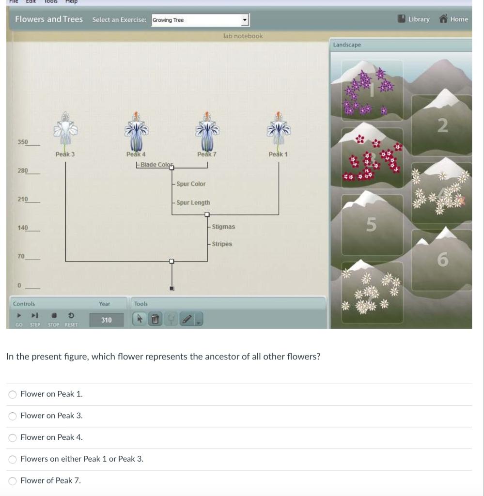 Solved Help Flowers and Trees Select an Exercise: Growing | Chegg.com