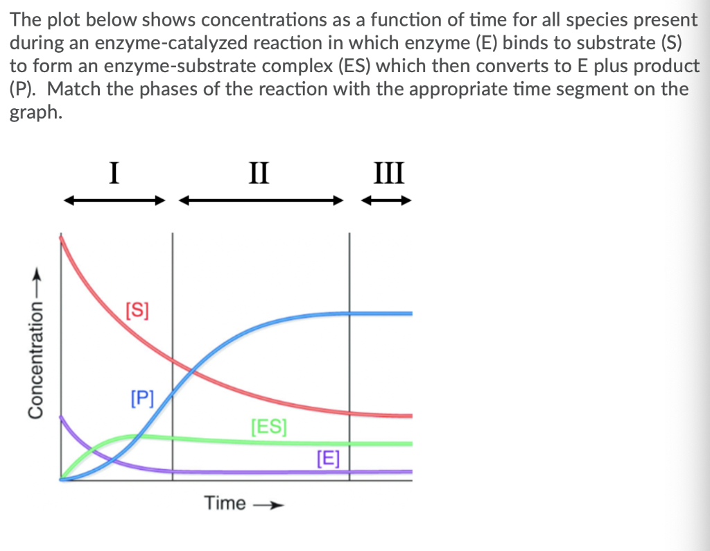 Solved The plot below shows concentrations as a function of | Chegg.com