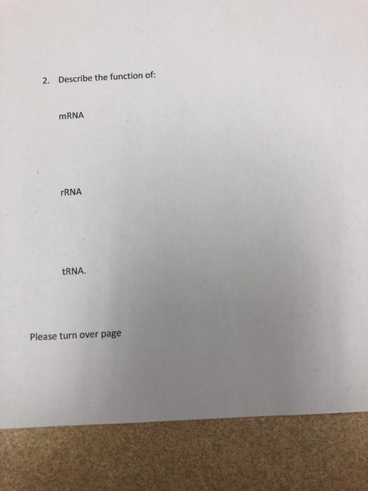 Solved 2. Describe the function of: mRNA rRNA tRNA Please | Chegg.com