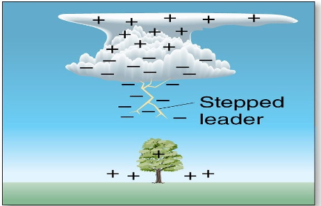 Solved The stepped-leader A) moves downward in one | Chegg.com
