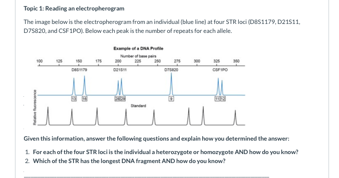 Solved Topic 1: Reading an electropherogram The image below | Chegg.com