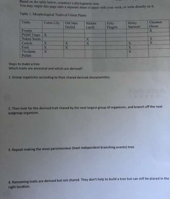 Solved Based On The Table Below Construct A Phylogenetic 