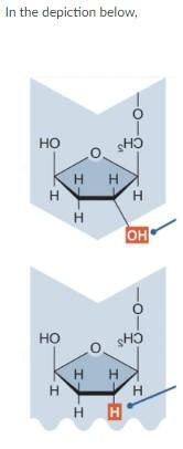 Solved 1. both the upper and lower structure permit | Chegg.com