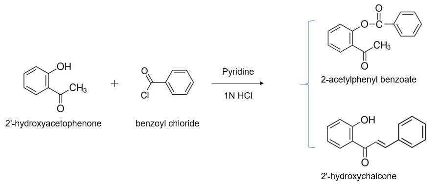 Solved 2'-hydroxyacetophenone (1 eq) and benzoyl chloride (1 | Chegg.com