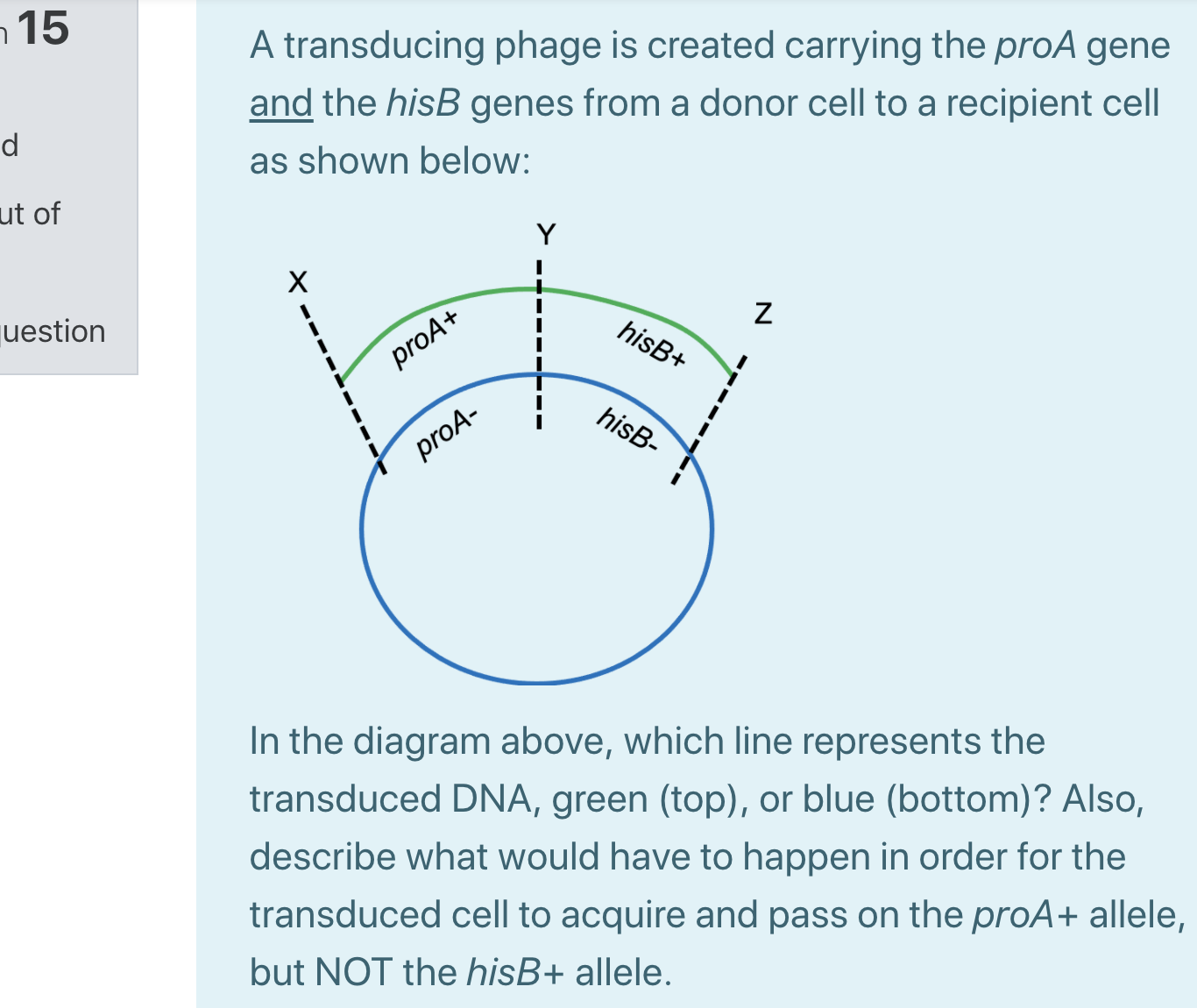 Solved 15 A transducing phage is created carrying the proĀ | Chegg.com