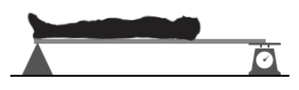 Solved 1) A reaction board of length ` = 2 m and mass mb = | Chegg.com