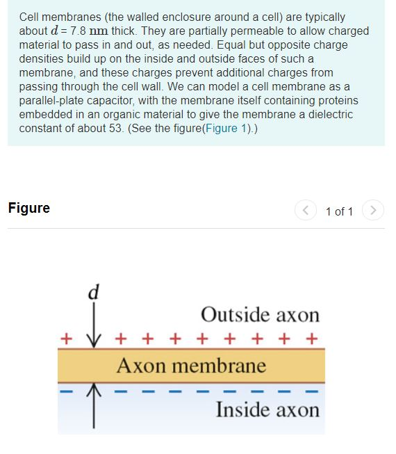 Solved Cell membranes (the walled enclosure around a cell) | Chegg.com