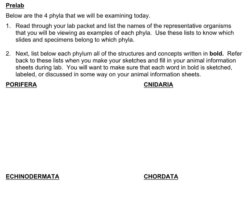 Prelab Below are the 4 phyla that we will be | Chegg.com