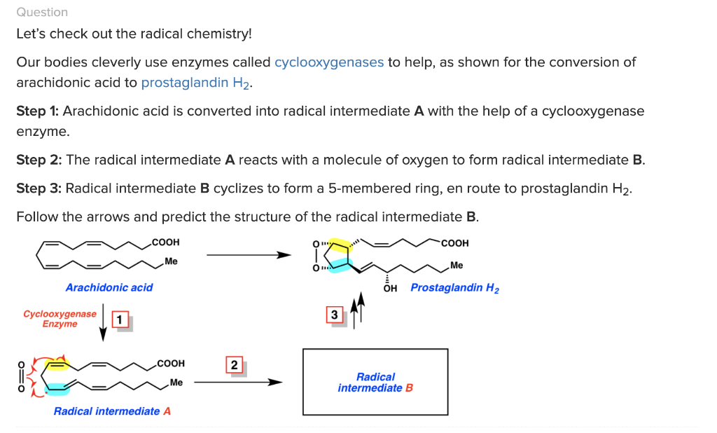 Solved Question Let's check out the radical chemistry! Our | Chegg.com