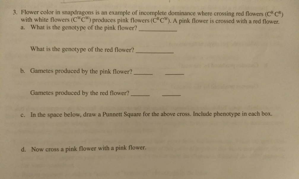 Solved 3. Flower color in snapdragons is an example of | Chegg.com