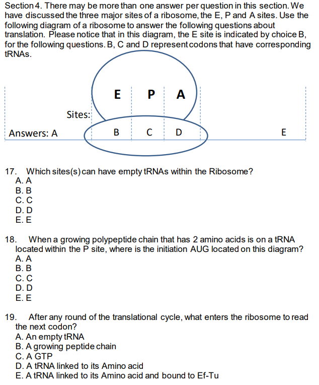 Solved Section 4 There May Be More Than One Answer Per
