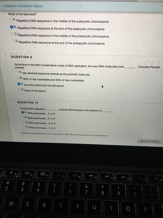 Solved What is the telomere? A. Repetitive DNA sequence in | Chegg.com