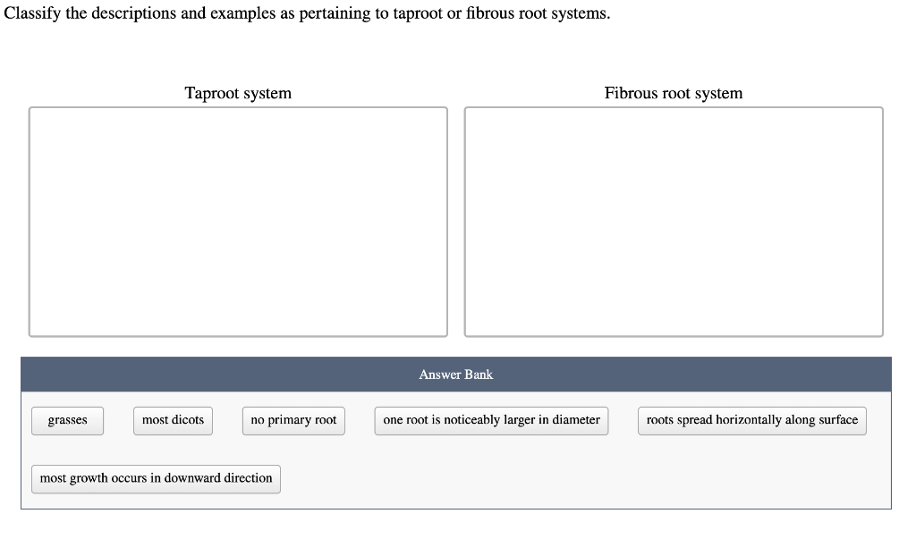 Solved Classify the descriptions and examples as pertaining | Chegg.com