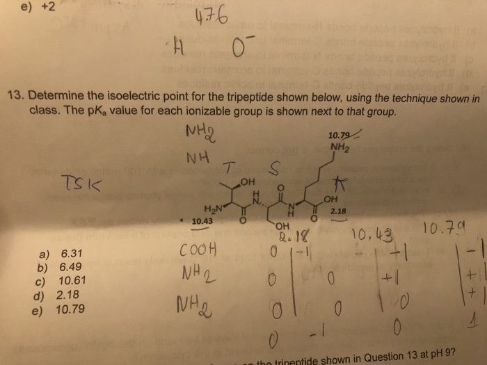 Solved e) +2 476 13. Determine the isoelectric point for the | Chegg.com