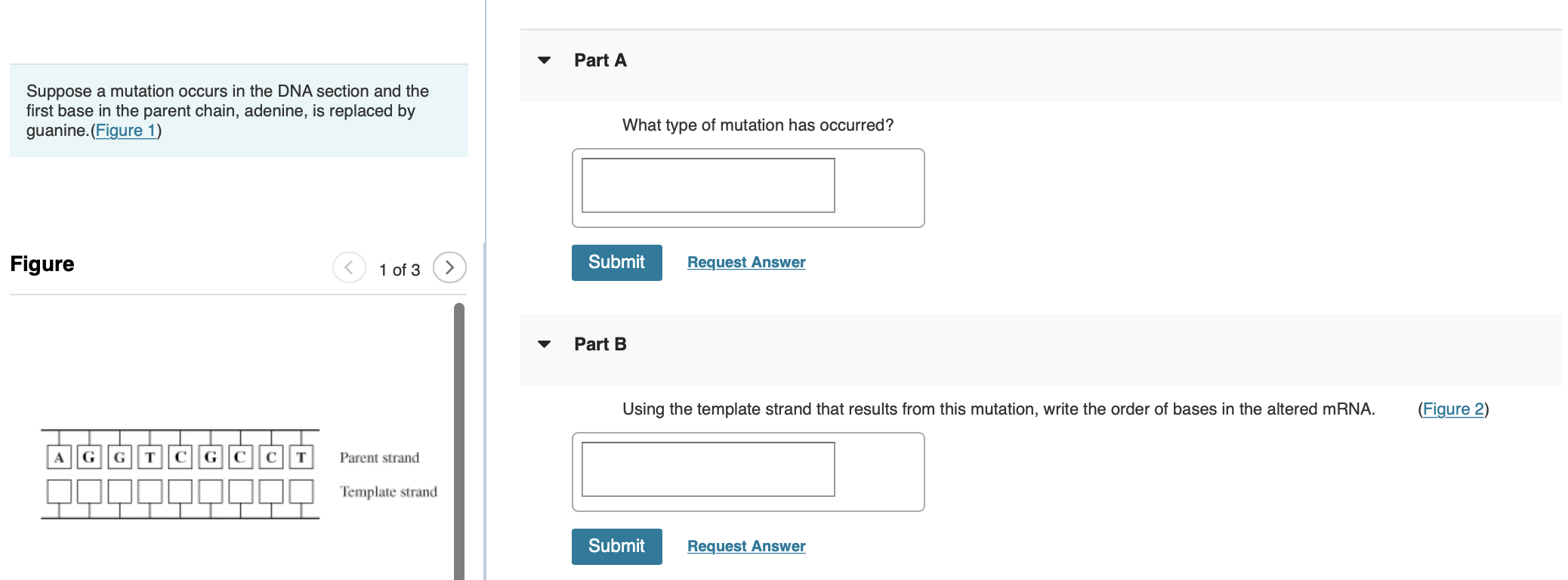 Suppose a mutation occurs in the DNA section and the | Chegg.com