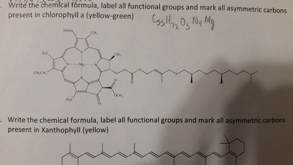 Solved Writé the chemical formula, label all functional | Chegg.com