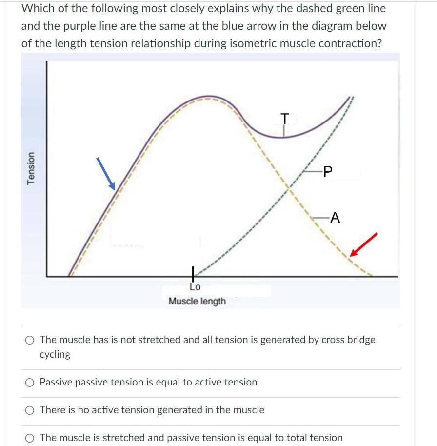 Solved Which of the following most closely explains why the | Chegg.com