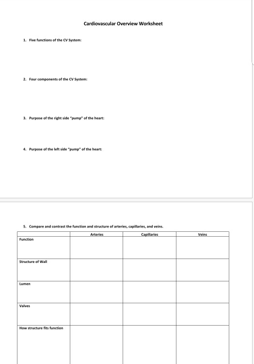 Solved Cardiovascular Overview Worksheet 1. Five functions | Chegg.com