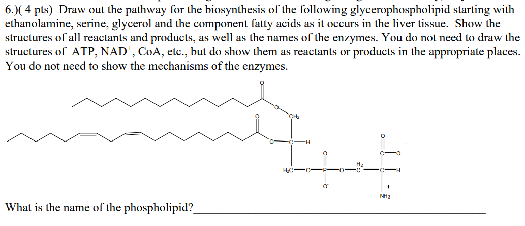 Solved 6.)( 4pts) Draw out the pathway for the biosynthesis | Chegg.com