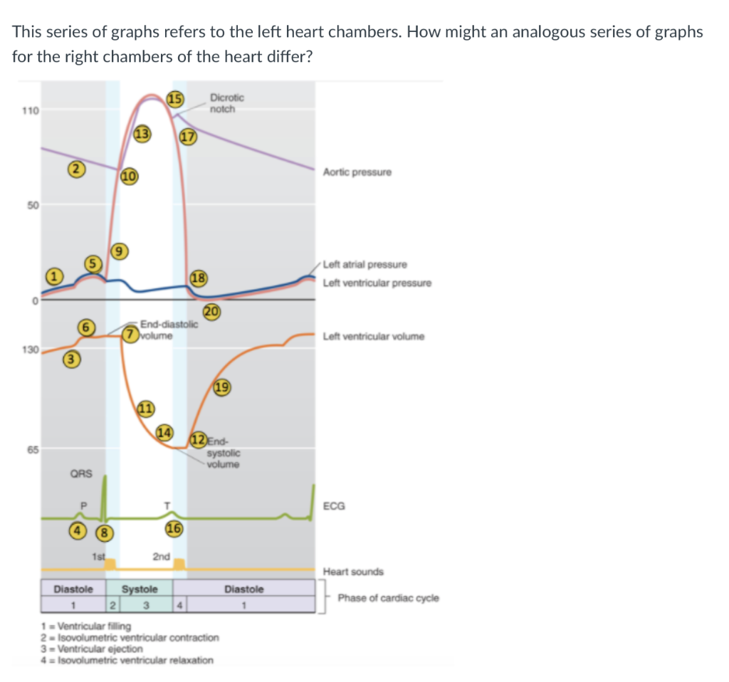 This series of graphs refers to the left heart | Chegg.com