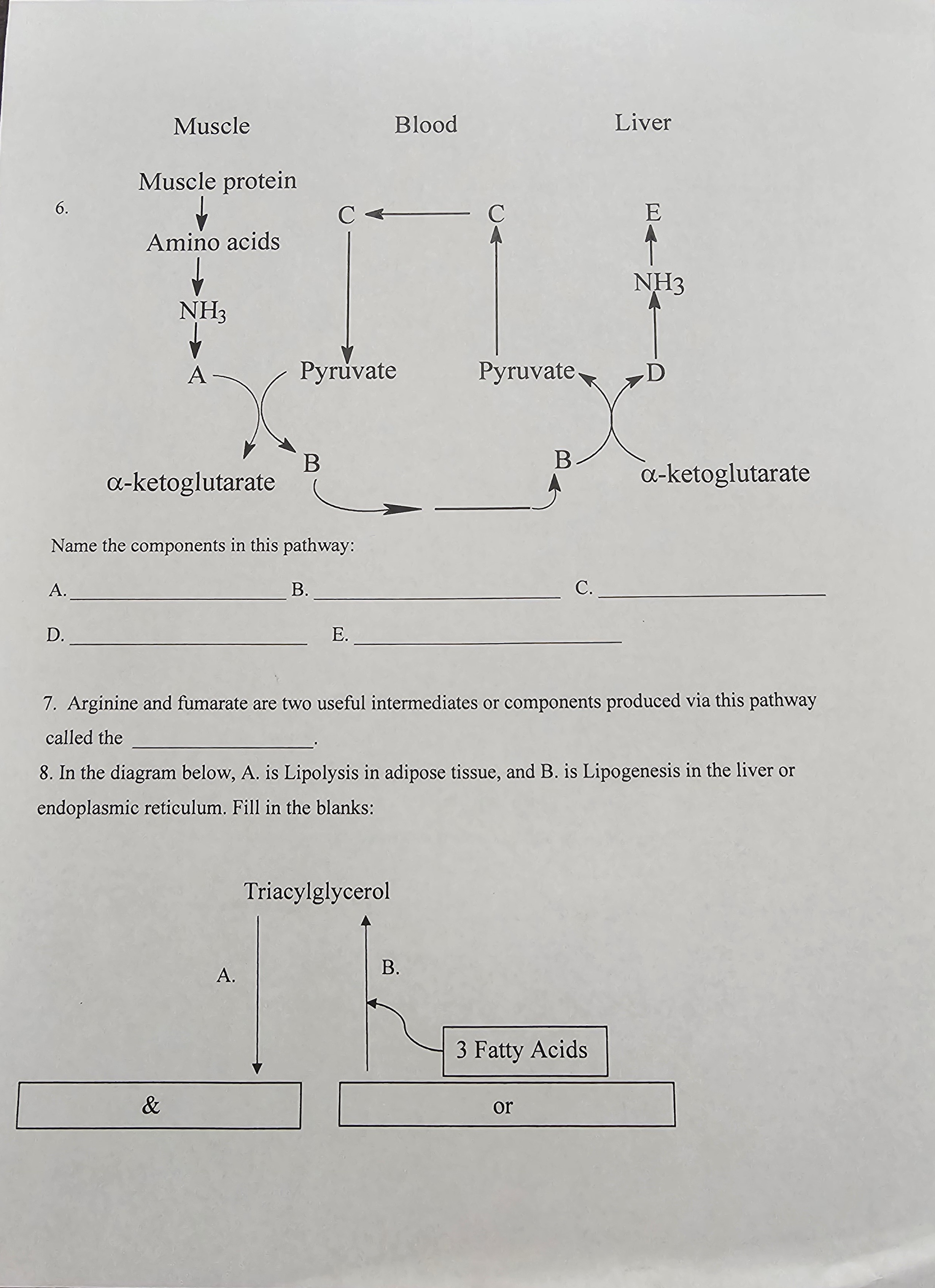 Solved Please answer questions 6-8Name the components in | Chegg.com