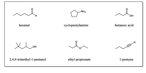 Solved w -NH2 OH hexanal cyclopentylamine butanoic acid -4 | Chegg.com