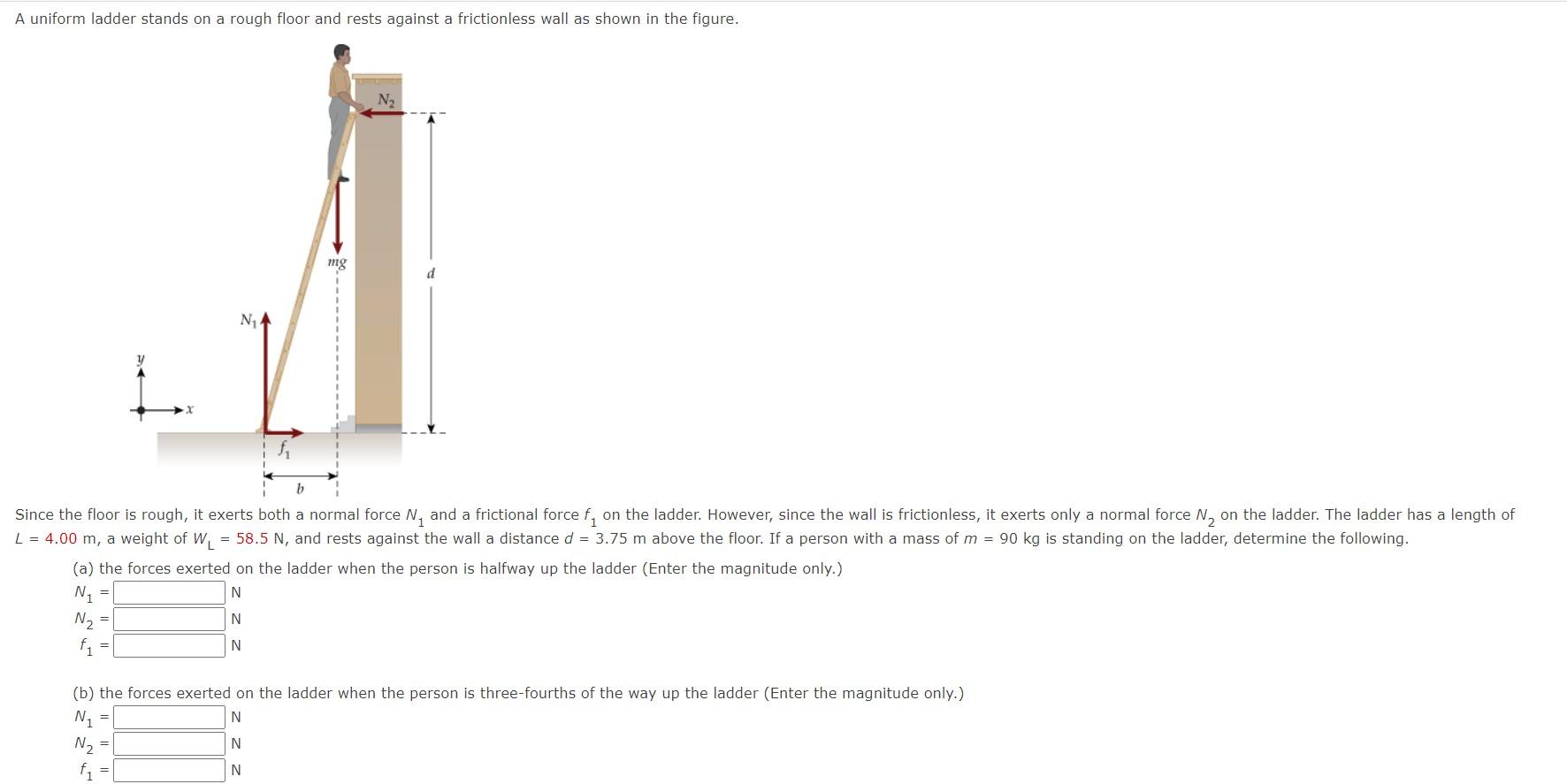 Solved (a) the forces exerted on the ladder when the person | Chegg.com