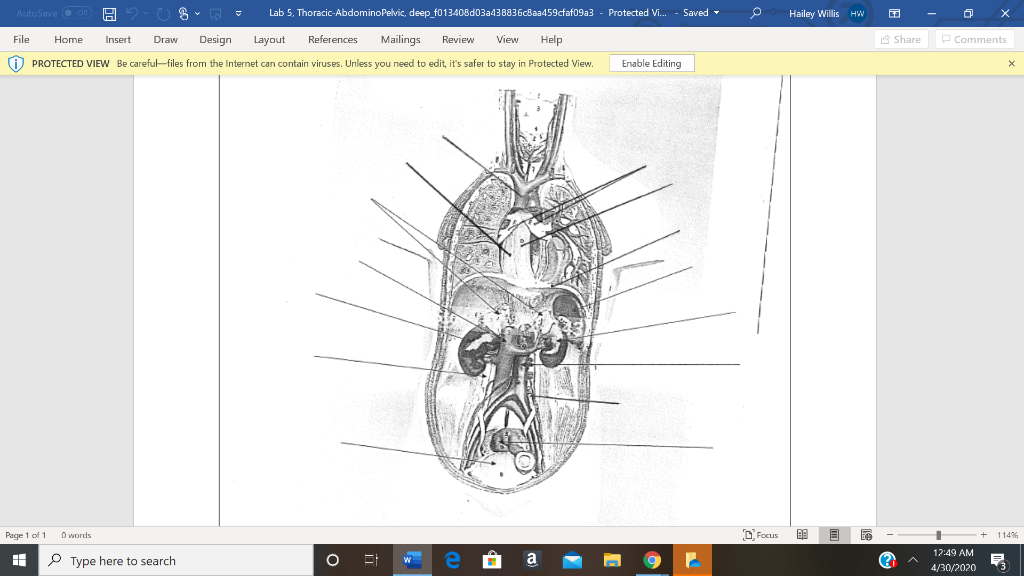 Hailey Willis HW - AutoSave om n Lab S. | Chegg.com