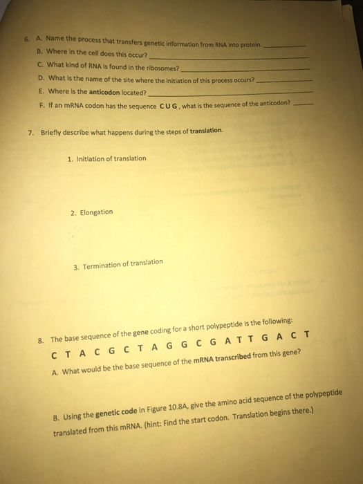 Solved 1. List the DNA complementary base for each of the | Chegg.com