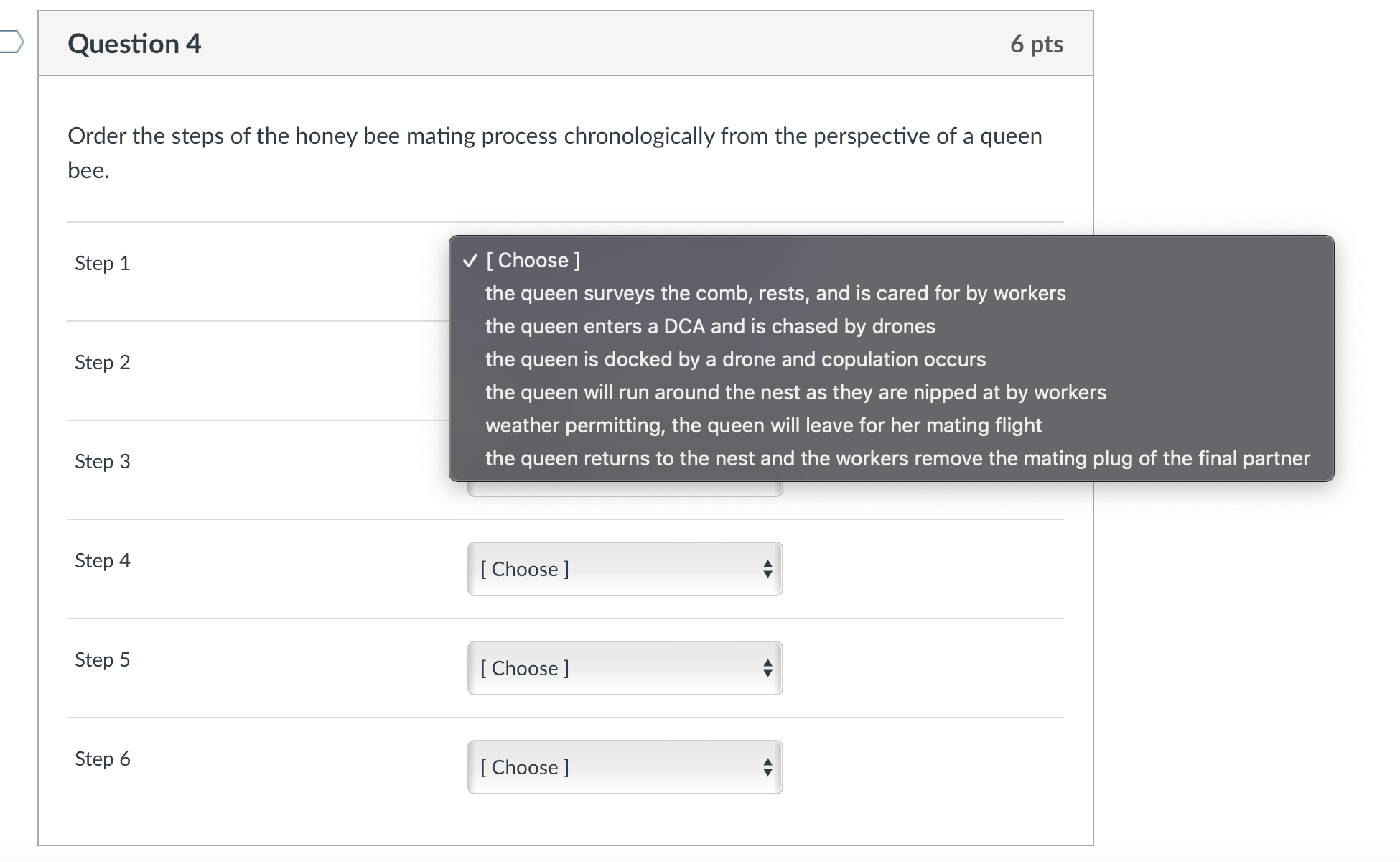 Solved Order the steps of the honey bee mating process | Chegg.com