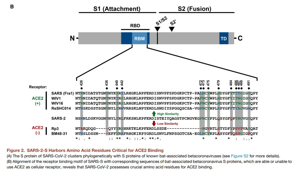 Solved Describe what Figure 2 shows, with respect to the | Chegg.com