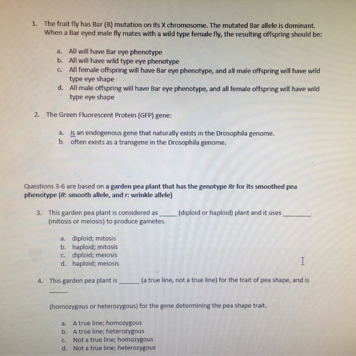 Solved The fruit fly has Bar (B) mutation on its X | Chegg.com