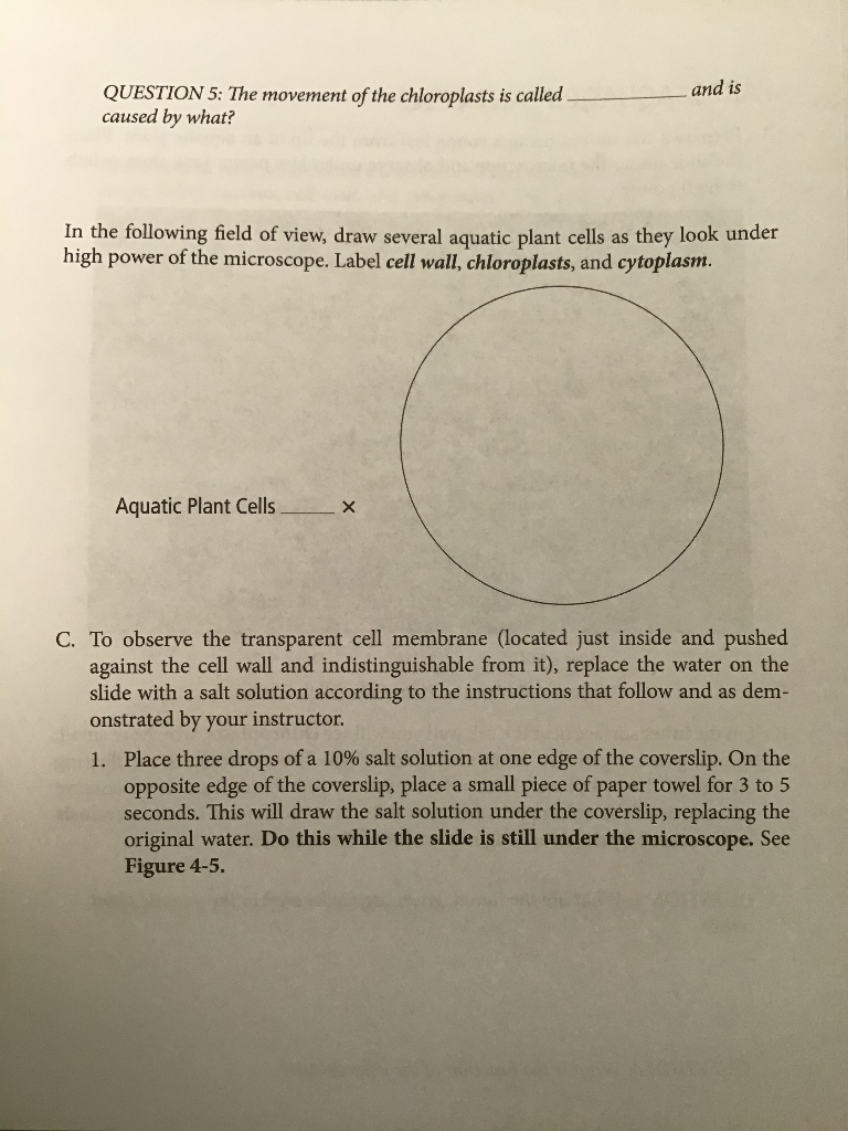 Solved 4. CELLS-STRUCTURE AND FUNCTION PART 2. AQUATIC PLANT | Chegg.com