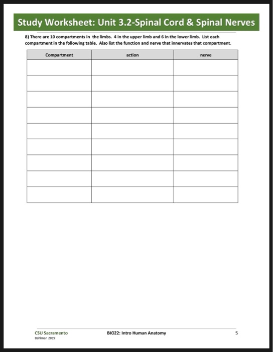 Solved Study Worksheet: Unit 3.2-Spinal Cord & Spinal Nerves | Chegg.com