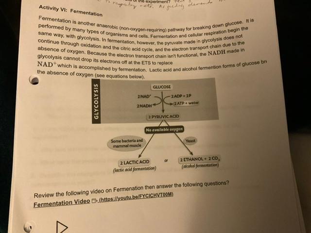 Solved Activity Vi: Fermentation Fermentation is another | Chegg.com