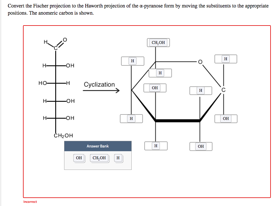 Solved Convert the Fischer projection to the Haworth | Chegg.com