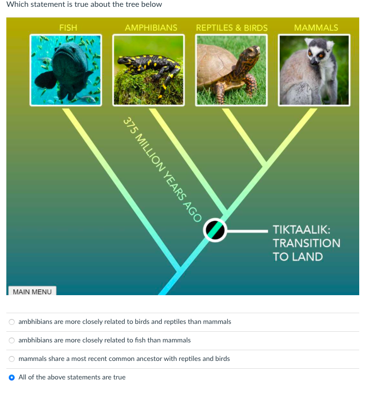 Solved Which statement is true about the tree below FISH | Chegg.com