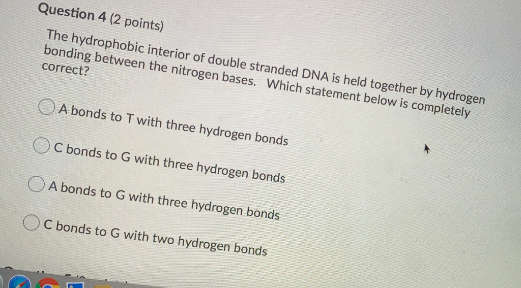 Solved Question 5 (2 points) The informational strand of a | Chegg.com