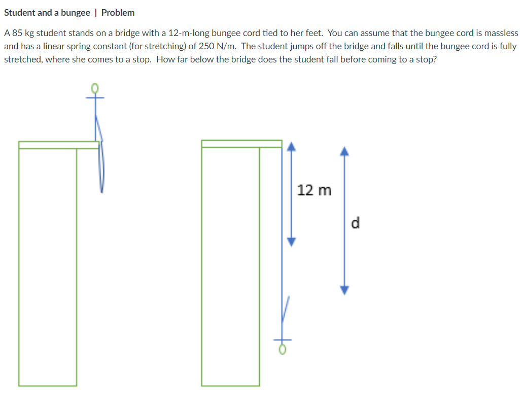 Solved Student and a bungee | Problem A 85 kg student stands | Chegg.com