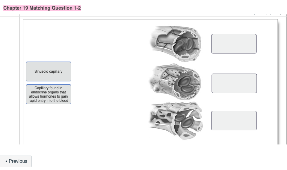 Solved Chapter 19 Matching Question 1-2 Sinusoid capillary | Chegg.com